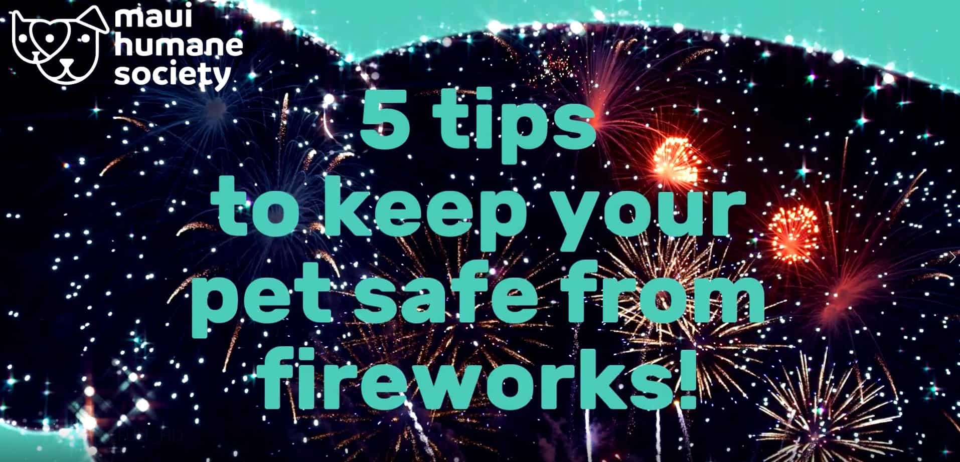 Keep Your Pet Safe from Fireworks - Maui Humane Society