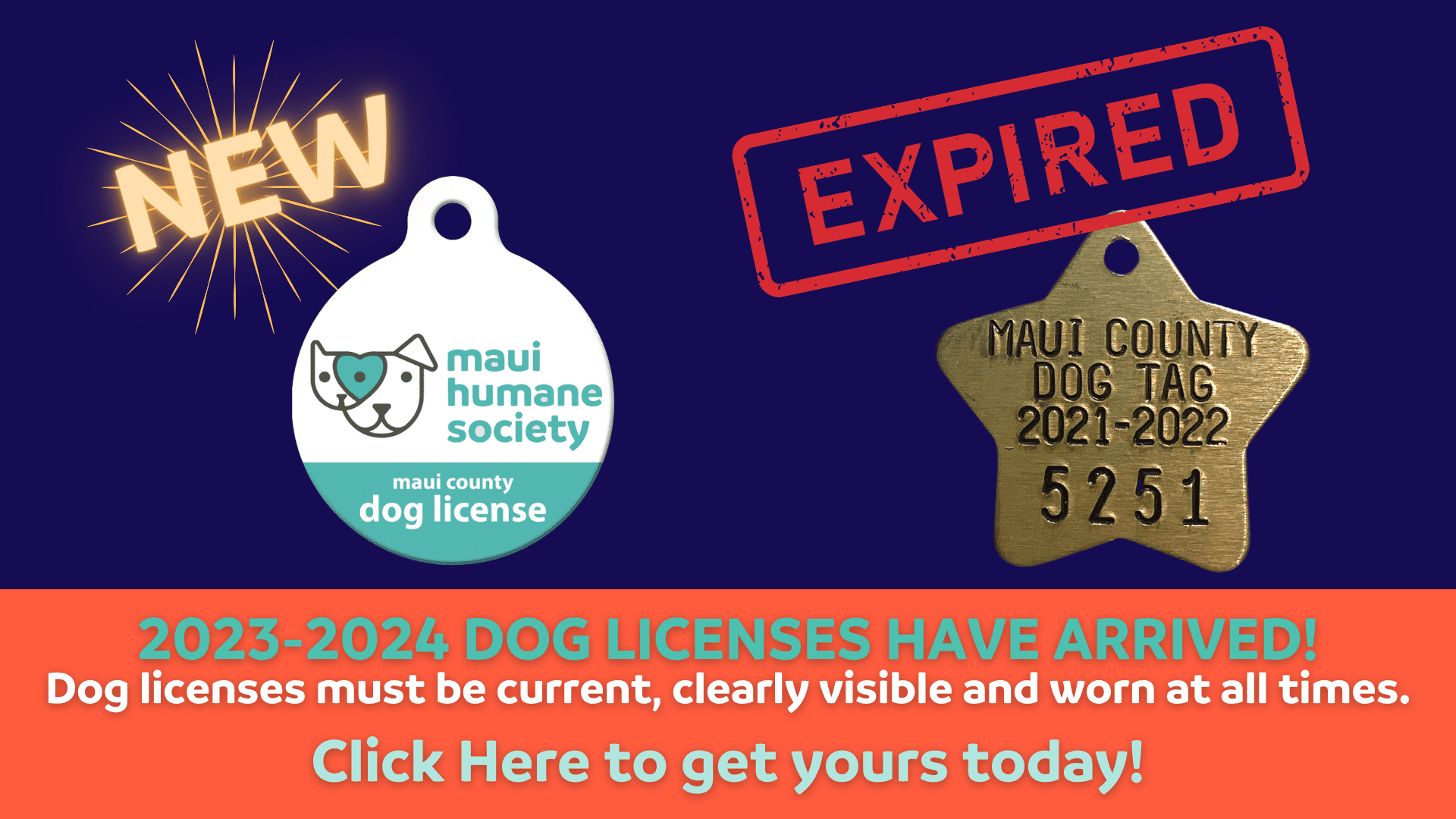 Is A Dog License Required