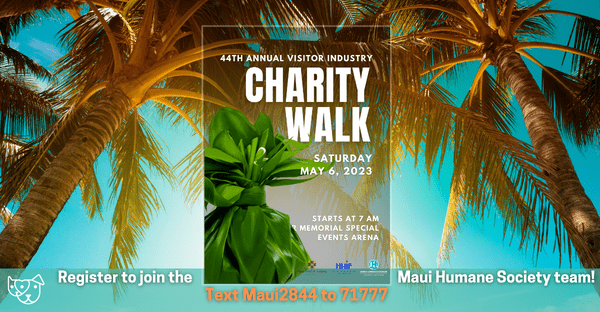 Charity Walk - Maui Humane Society