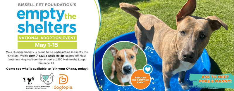 Empty the Shelters - Maui Humane Society