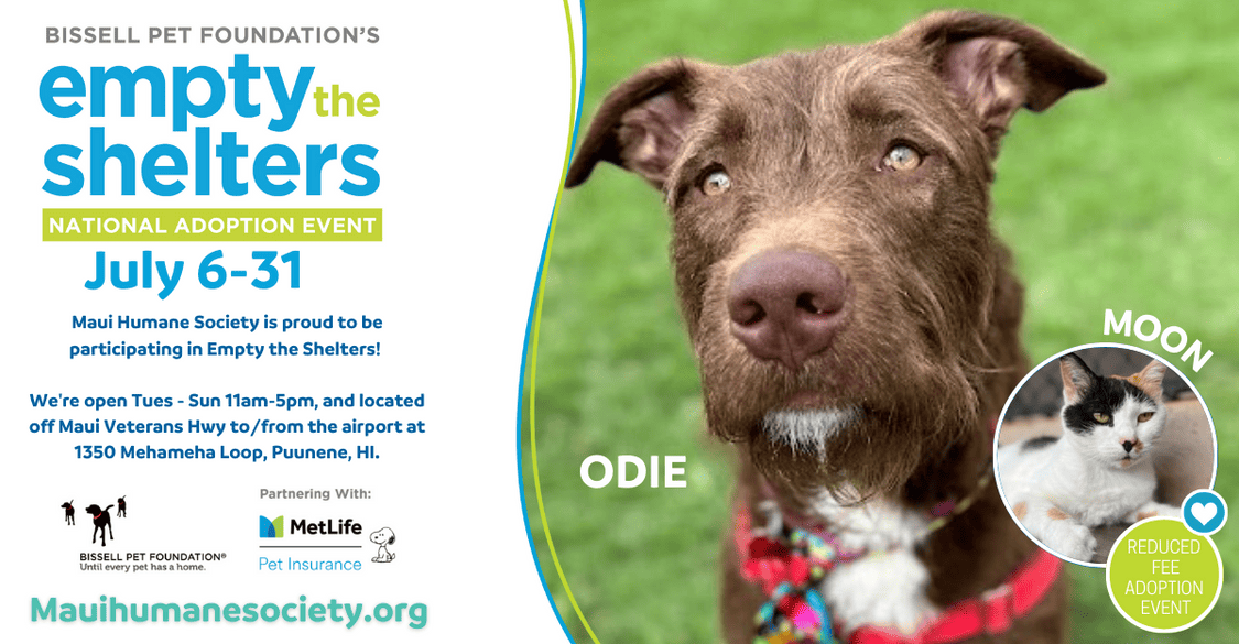 Empty The Shelters - Summer Edition! - Maui Humane Society
