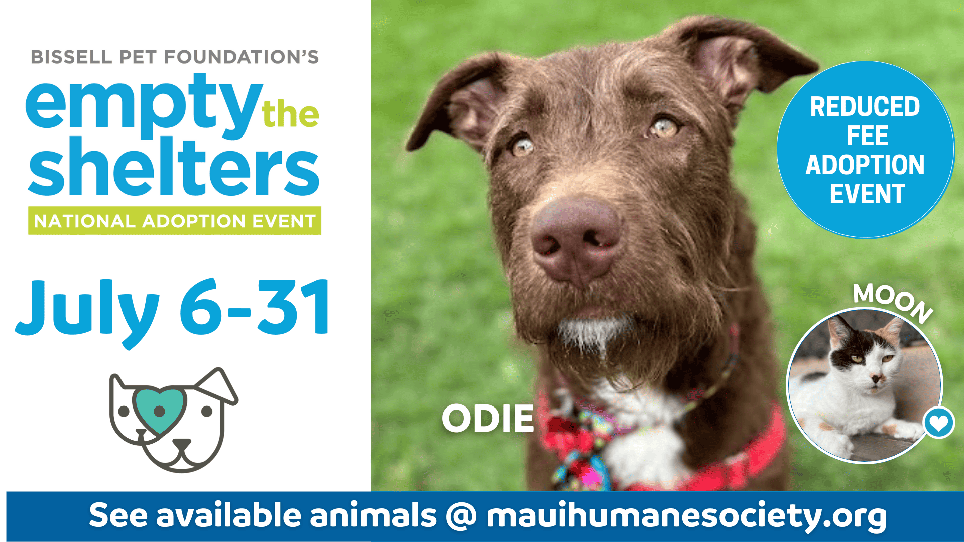 Press Release: Maui Humane Society Participating in BISSELL Pet ...