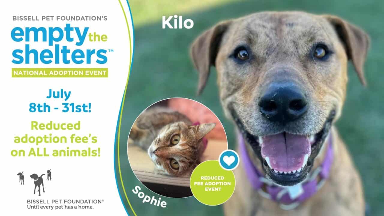 Empty The Shelters - Maui Humane Society
