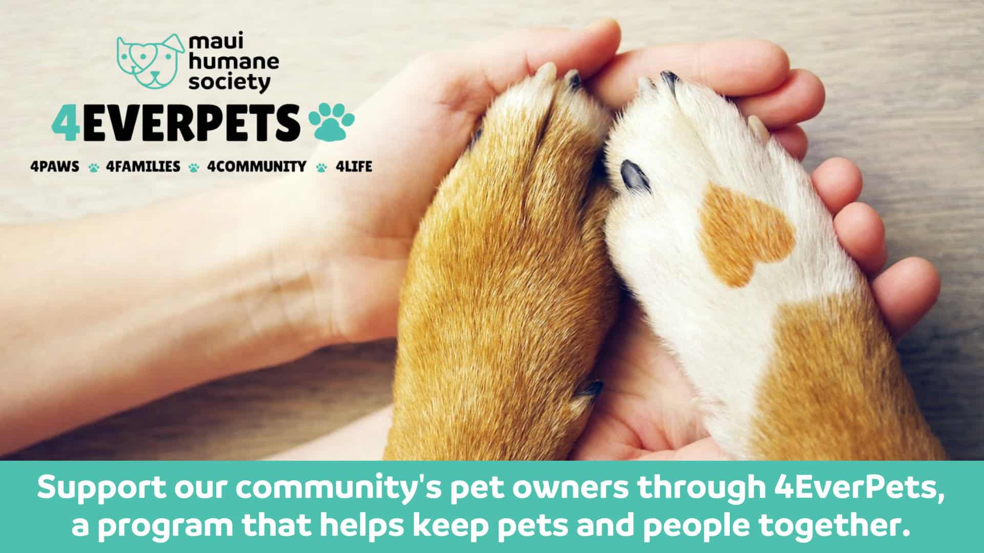 Pets for Adoption - Maui Humane Society